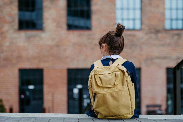 Revealed: The English region hit hardest by Labour's VAT private school ...