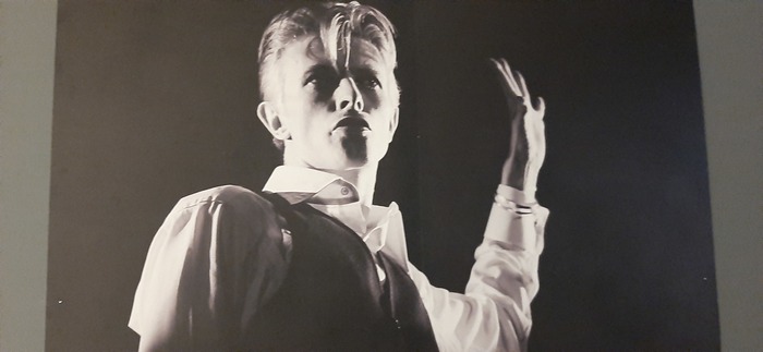 Dieci anni fa moriva David Bowie, da Ziggy Stardust a icona immortale