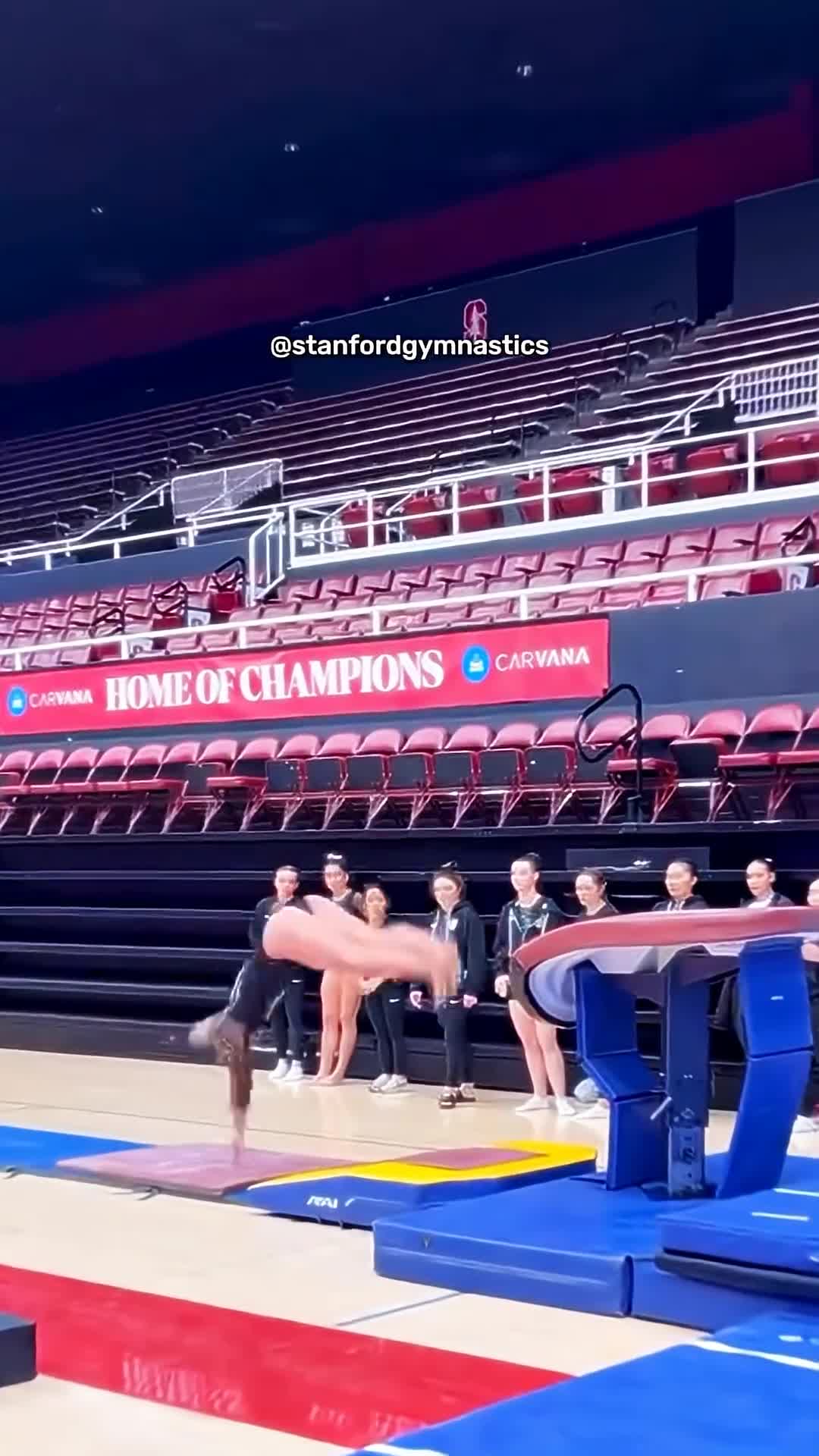 Summer with a stick 🔥