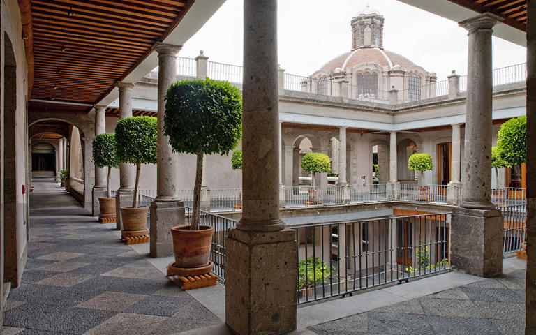 El Colegio Nacional inicia 2026 con actividades virtuales