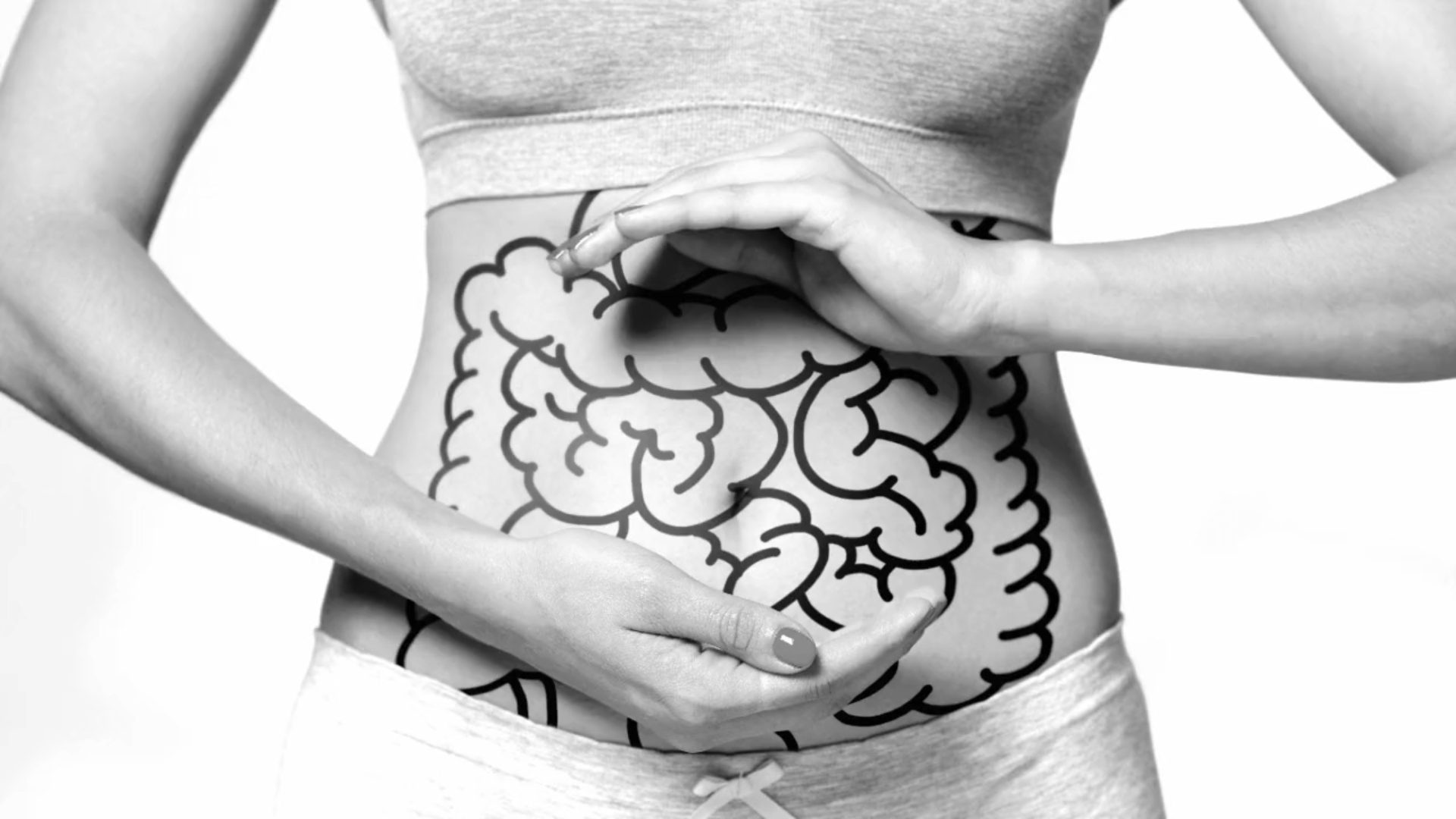 What your gut microbes do with animal-based diets