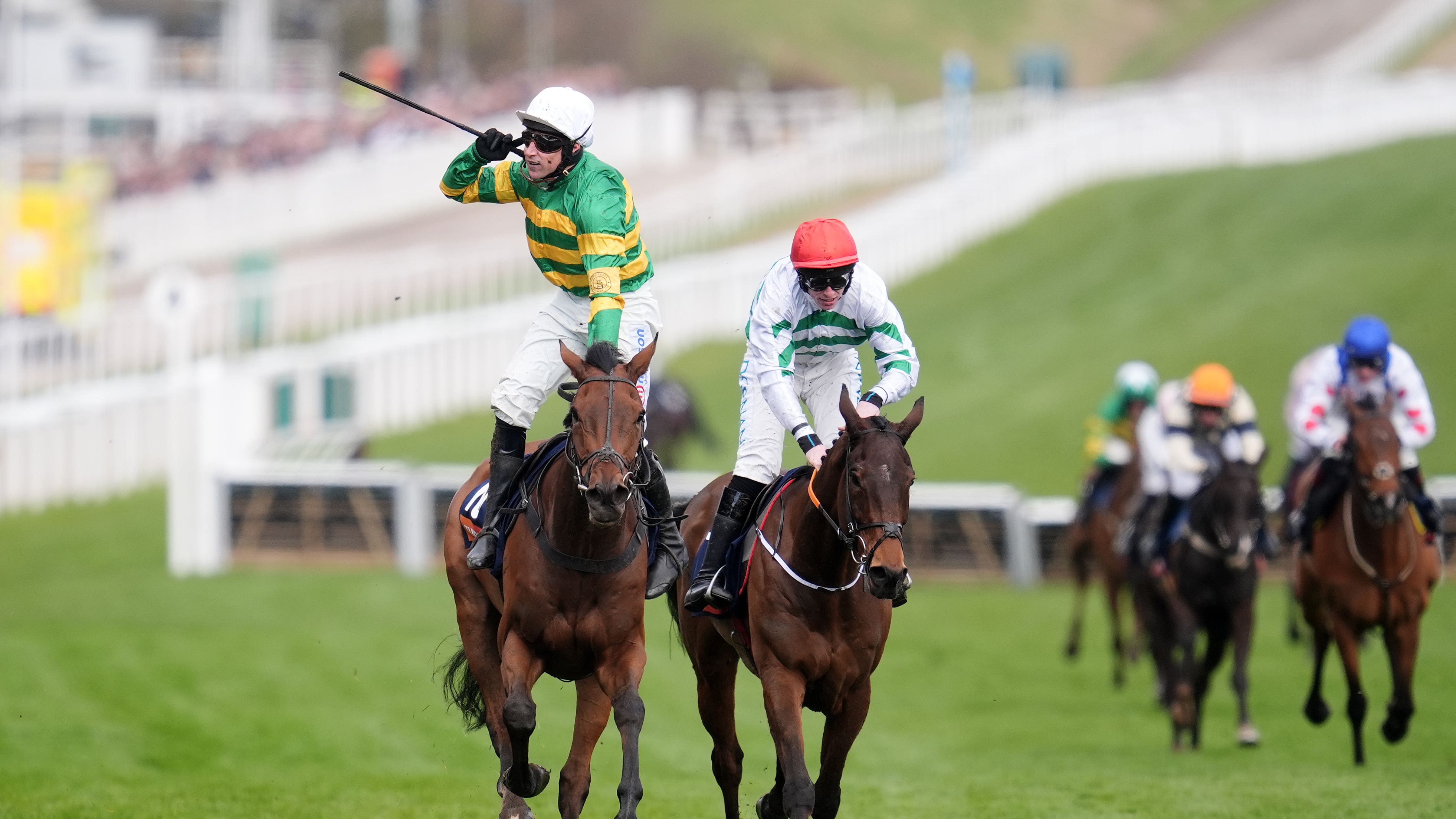 The New Lion shaping up well for potential trials day blockbuster