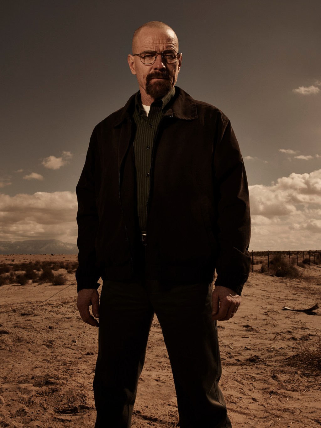 Steve Zahn calls out Bryan Cranston over 'Breaking Bad' casting claim