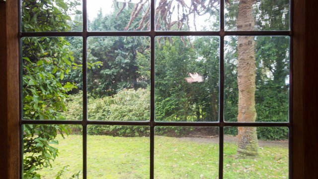 Gardener captures adorable video of unexpected visitor: 'Super cute'