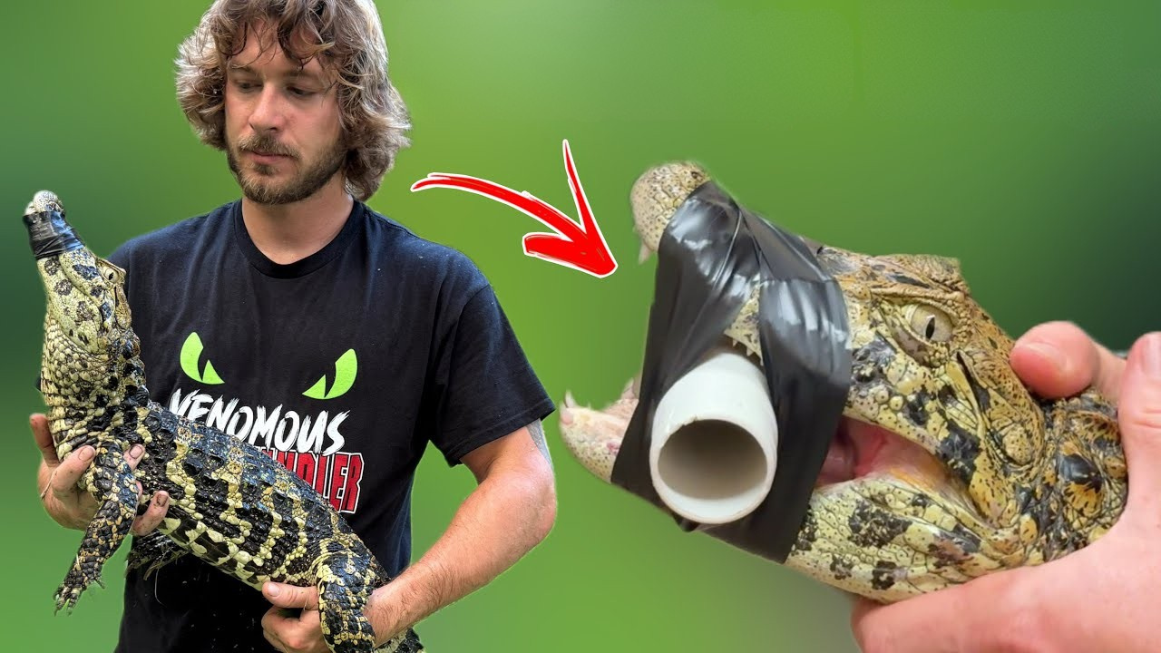 Something’s wrong with Bridget…