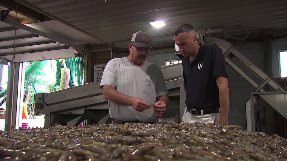 Part 1: The political beat with Ch. 9's Joe Bruno (January 4, 2026)