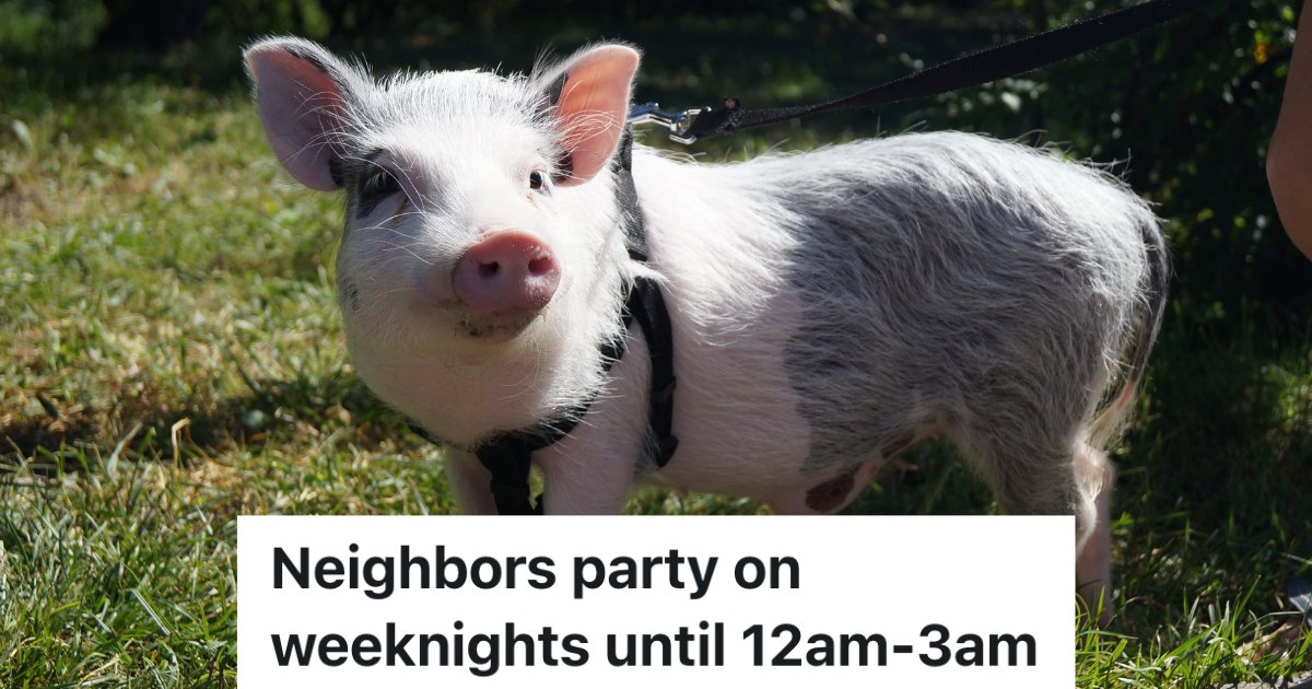 Homeowner is frustrated with loud neighbors who throw loud parties and ...