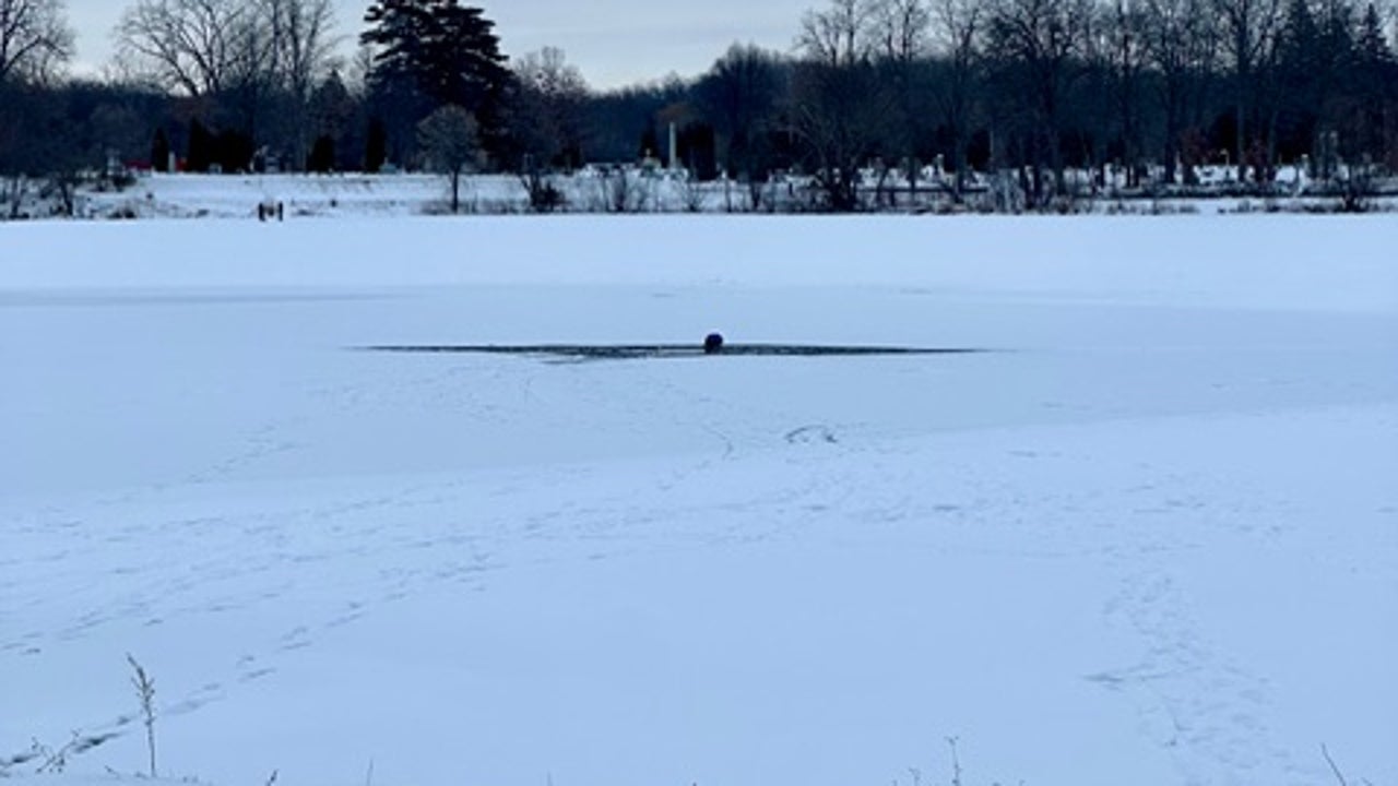 Snowmobiler rescued by residents after falling through ice on Bush Lake ...