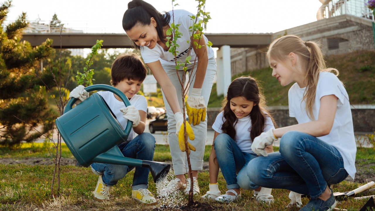Orchardist shares top fast-growing fruit trees for backyard harvests