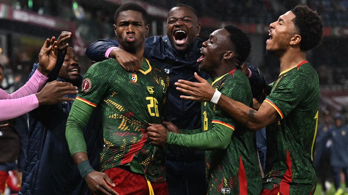 Afrique du Sud-Cameroun (1-2) : sans forcer leur talent, les Lions ...