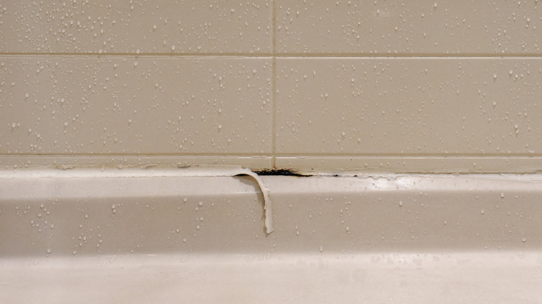 8 reasons your shower's caulk is showing cracks