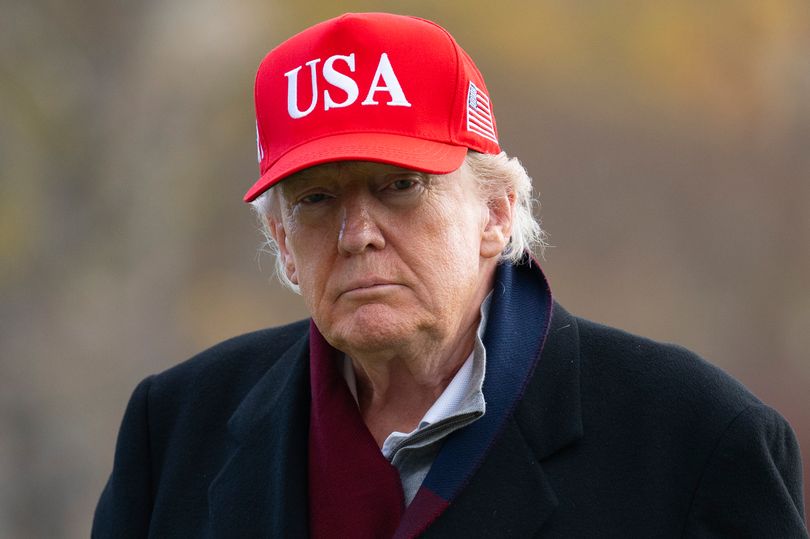 'Toddler' Donald Trump accused of having IQ lower than his golf score