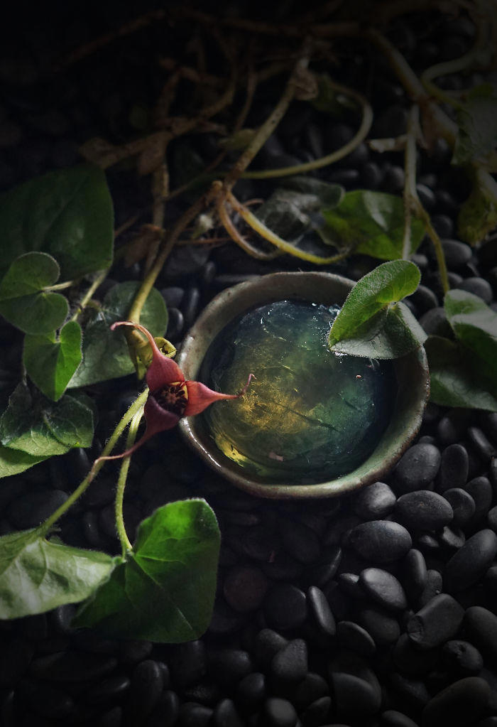 I make trick of the eye foods that are entirely edible and nature ...