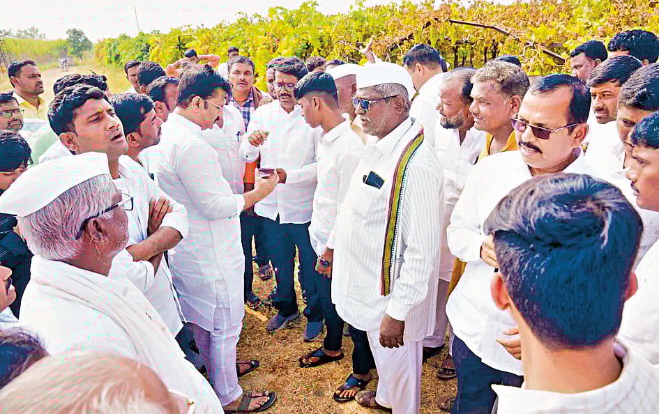 Burnt vineyard case: जळीत द्राक्षबागेबाबत चौकशीचे आदेश