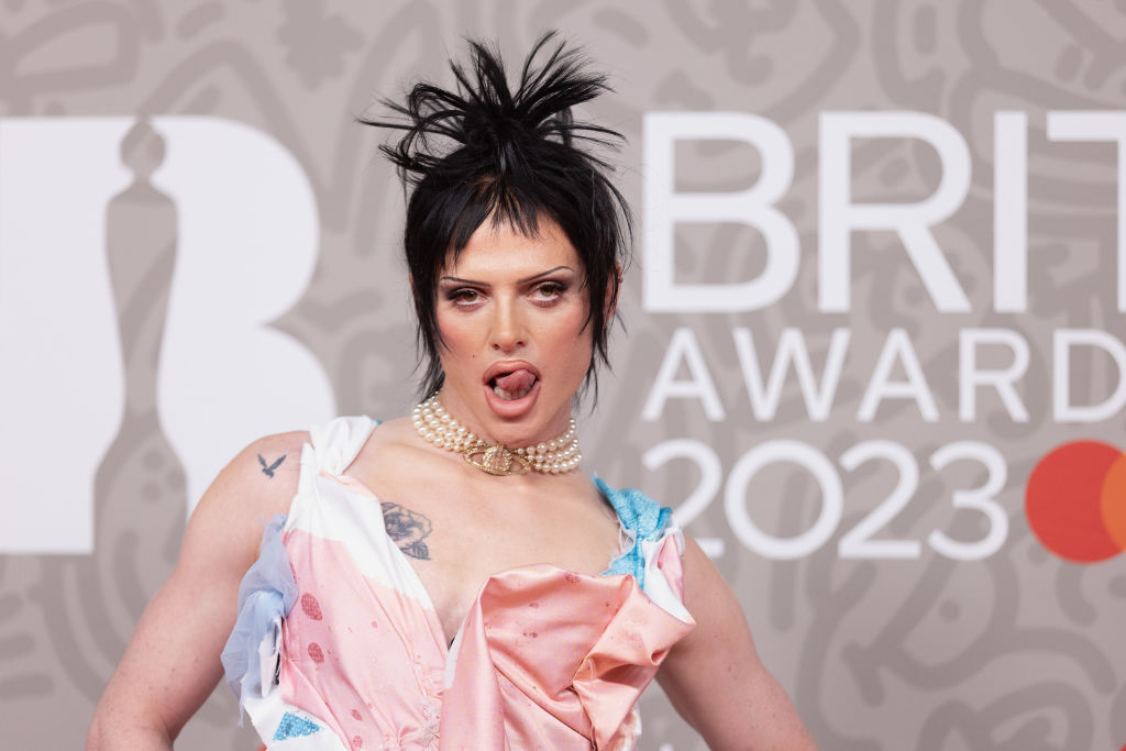 Who is Arctic Fox on The Masked Singer? Clues revealed