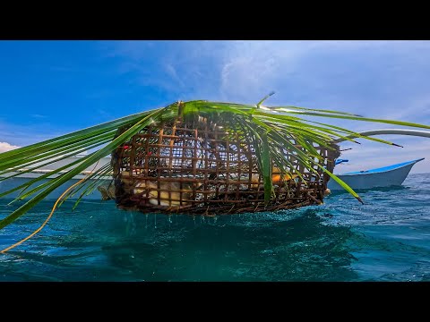 Jackpot catch! The trap was almost too heavy to pull up | Catch & Sell