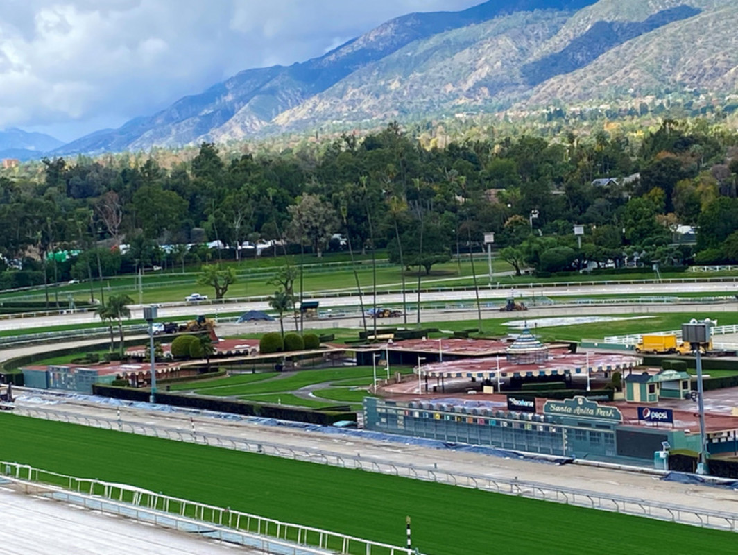 Santa Anita's synthetic training track proving value amid wet weather