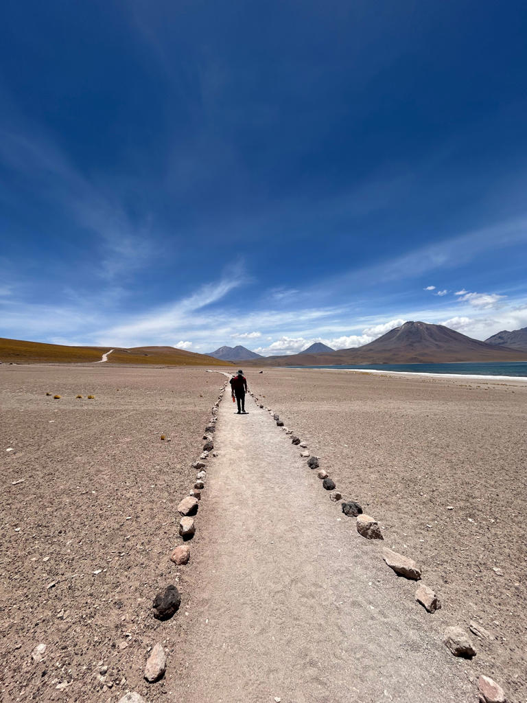49 unexpected things I found in the driest place on Earth