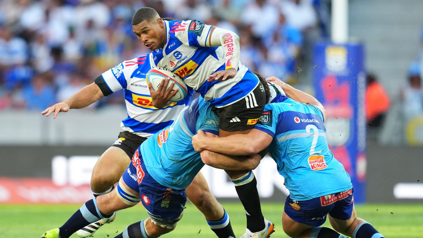 Stormers boss John Dobson: "This is why we win World Cups"