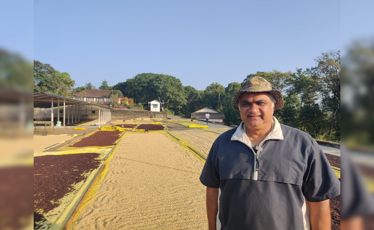 Coffee exports slipping, your morning cup may taste more bitter: Here's why