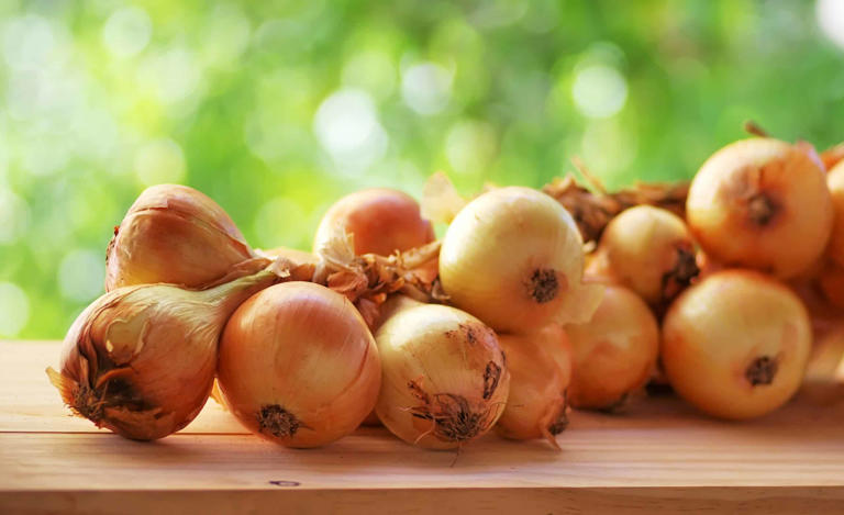 Stop! Don’t throw onions away! 21 ideas if you have too many onions