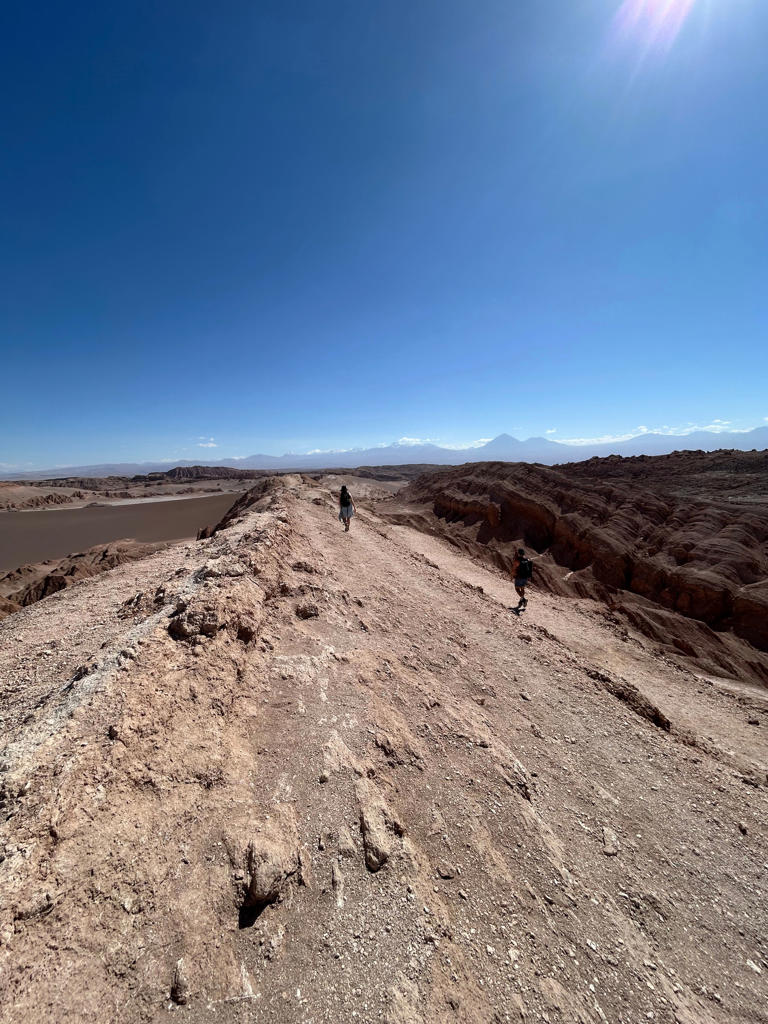 49 unexpected things I found in the driest place on Earth