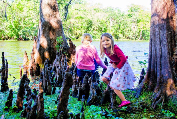 100 free things to do in Orlando with kids