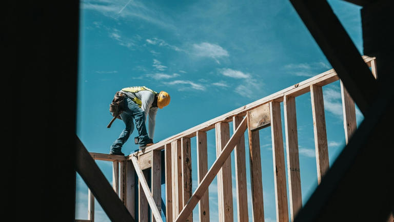 Construction supplier collapses as Trump’s tariffs trigger 14.5% lumber ...