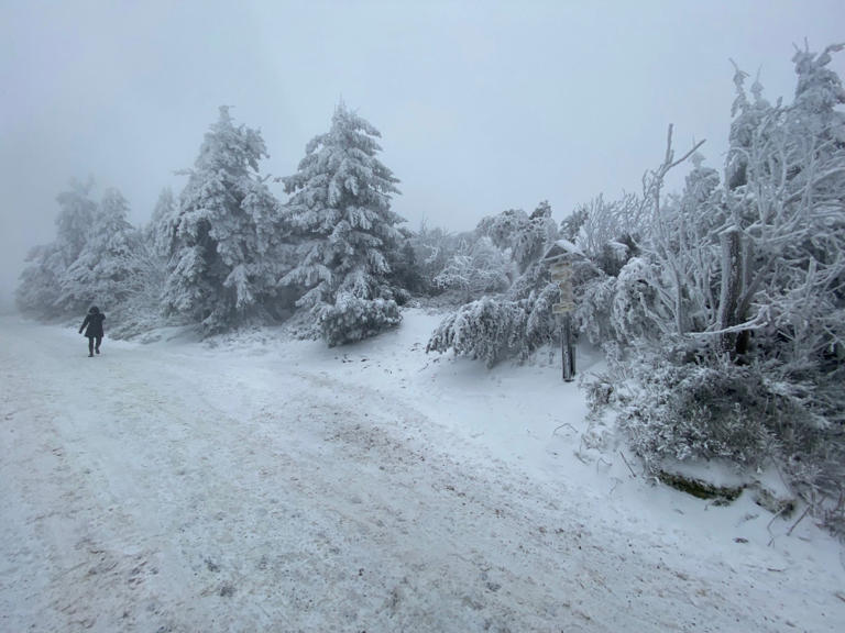 Teploty mohou v noci klesnou až k minus 12 stupňům Celsia, varovali ...