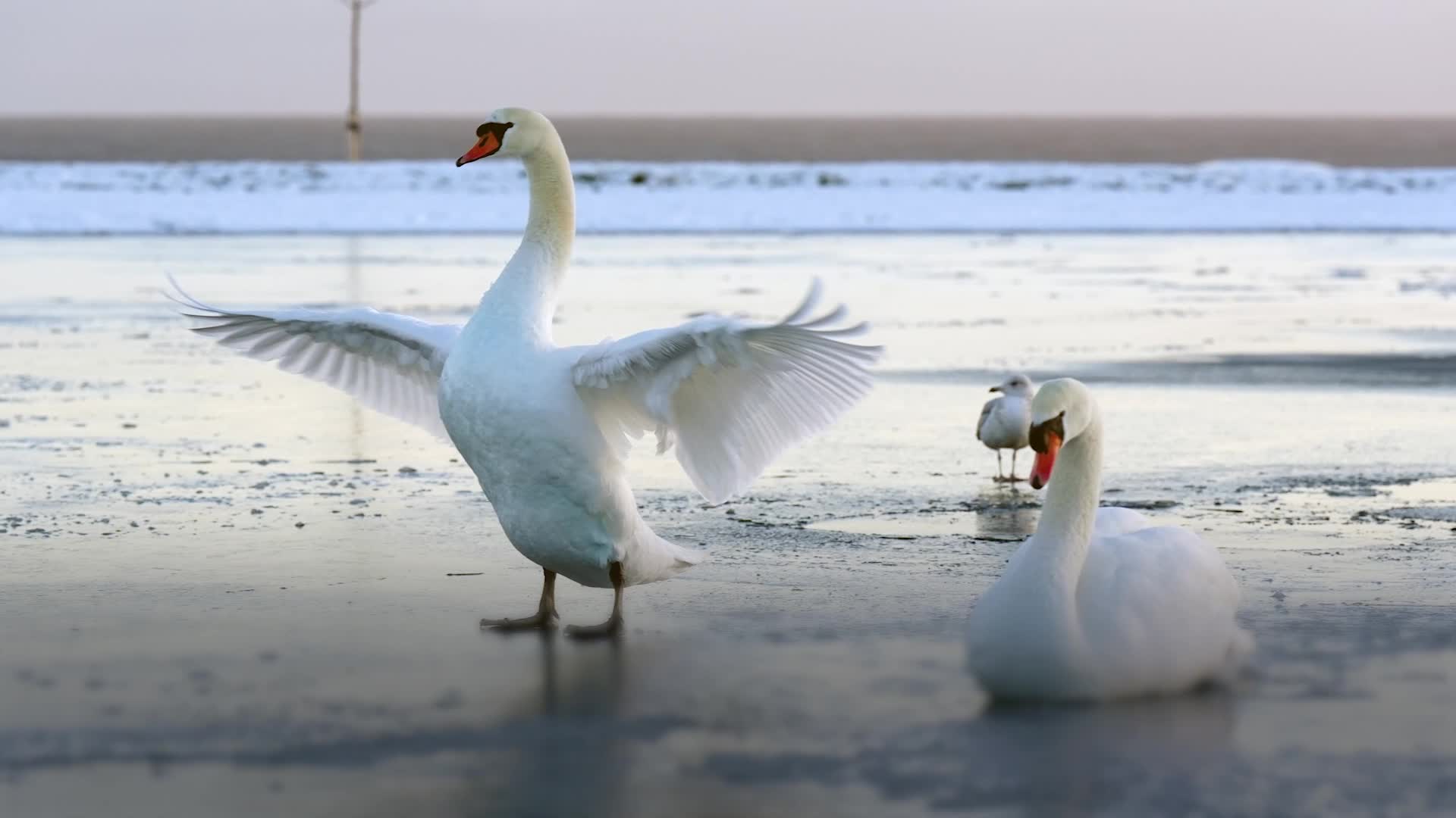 Amber warning for snow as wintry weather continues