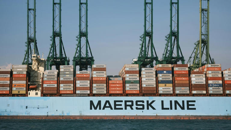 Construction supplier collapses as Trump’s tariffs trigger 14.5% lumber ...