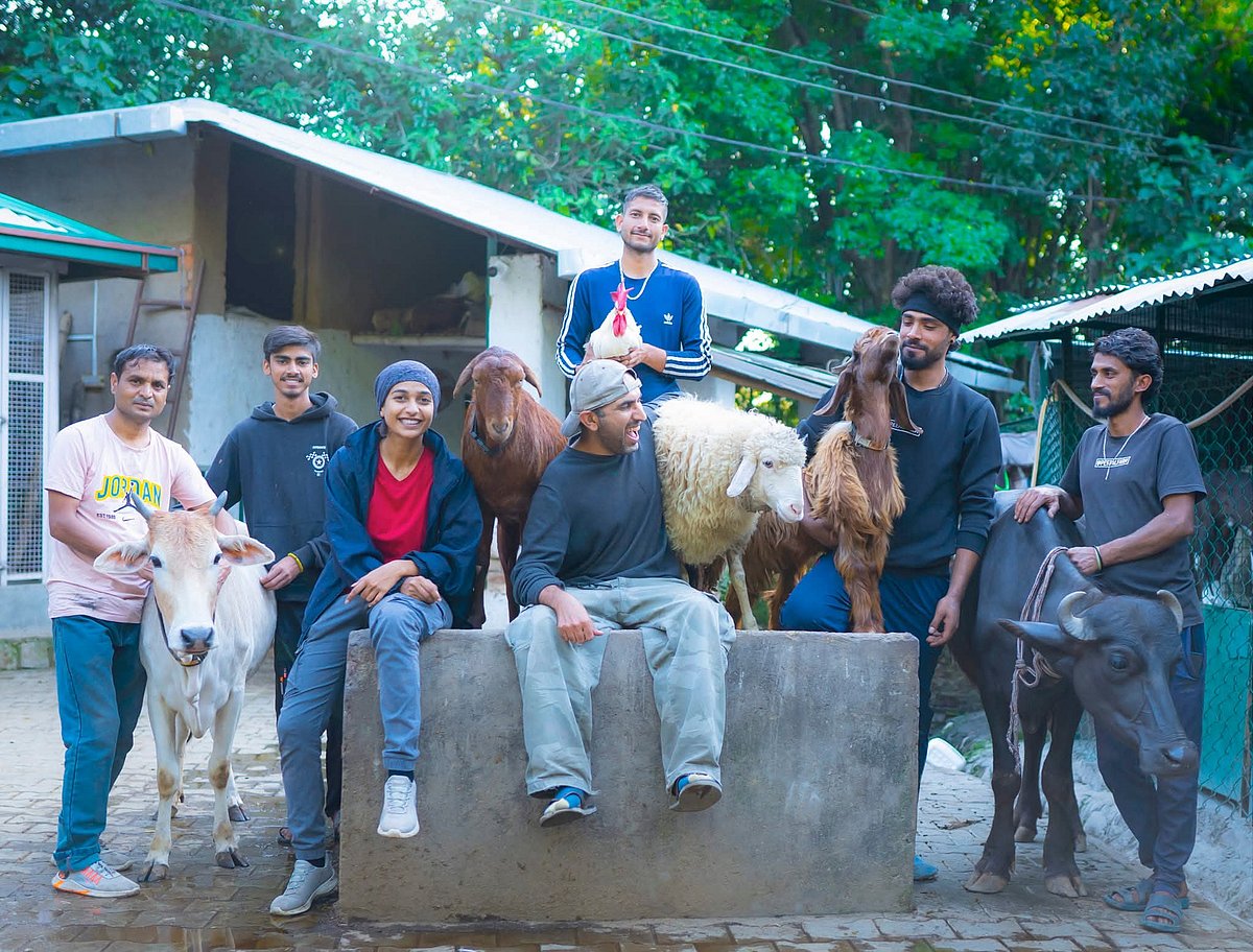 'Happiness Happens' book review: Why a life that reduces suffering ...