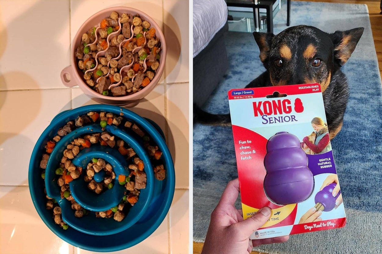 27 fun products that’ll keep your dog entertained indoors