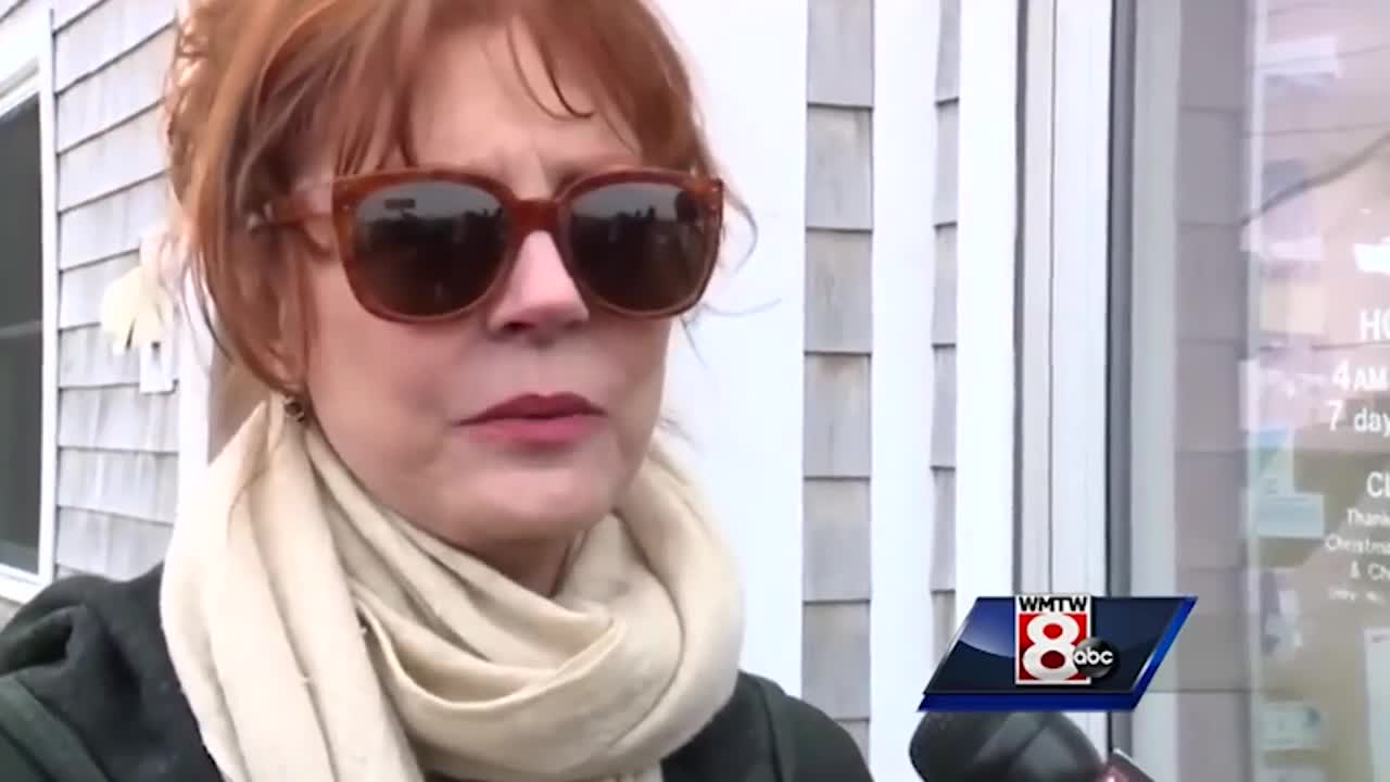 Debra Messing & Susan Sarandon's heated feud over Donald Trump