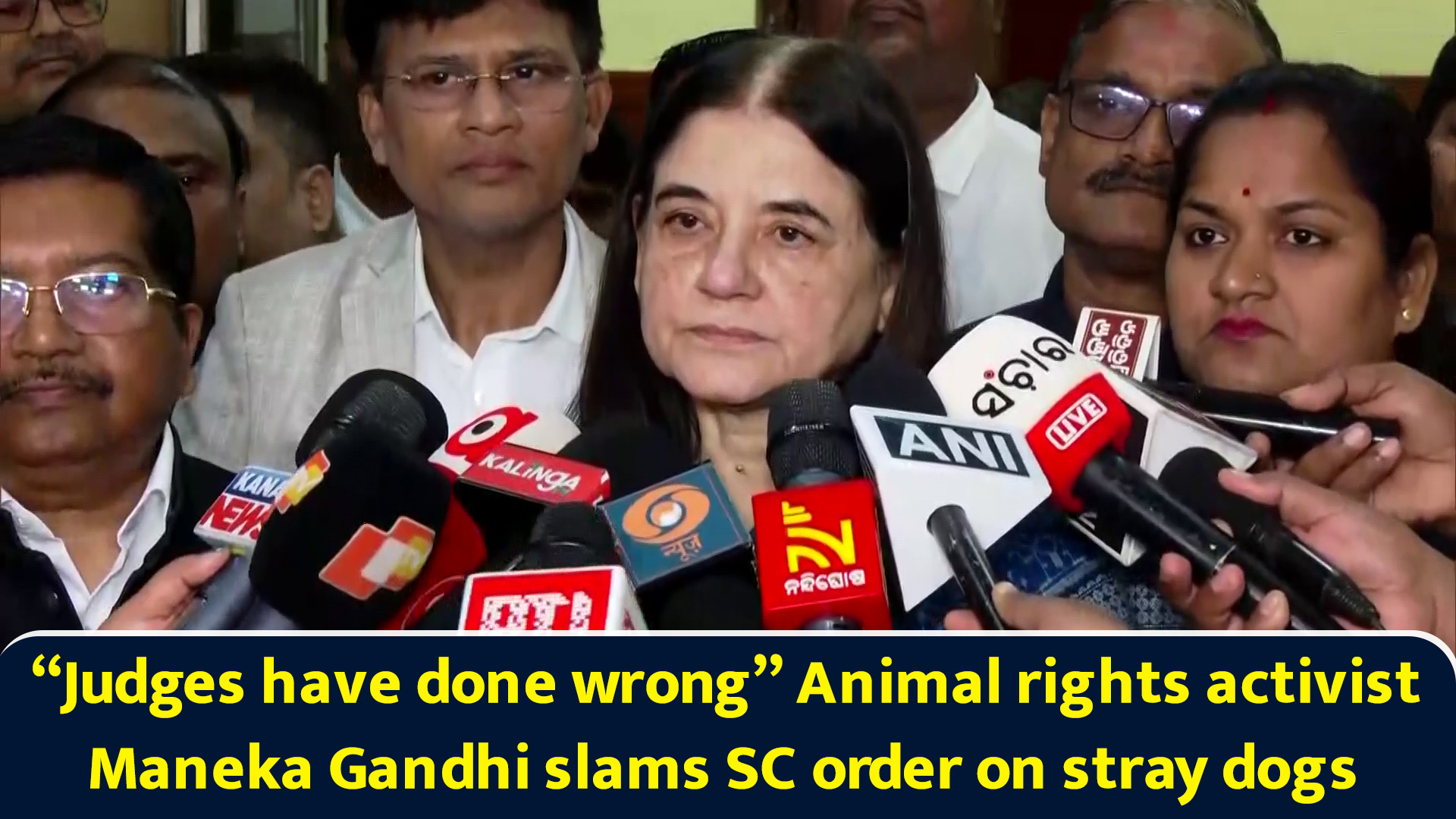 Judges have done wrong animal rights activist Maneka Gandhi slams SC ...