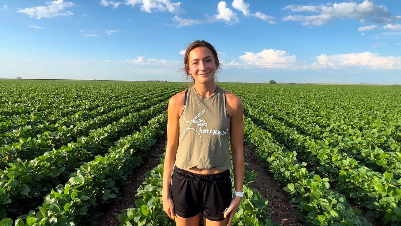 Land auctions: Rare events with high stakes 🌾💰