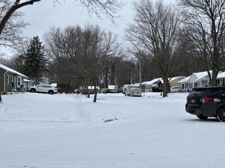 Woman shot in head Sunday morning, Lansing police say