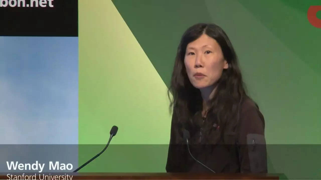 Who is Wendy Mao? American NASA researcher accused of secretly helping ...