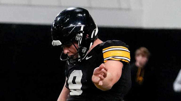 Michigan State lands Iowa punter from transfer portal