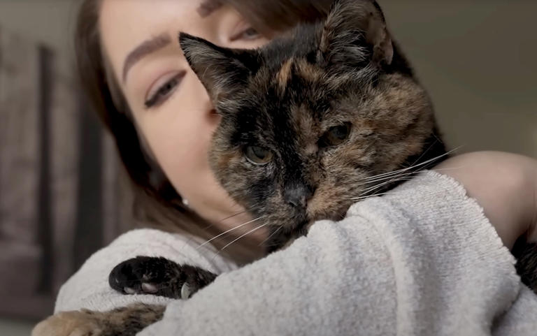 World's oldest cat Floozy celebrates 30th birthday at 136 human years