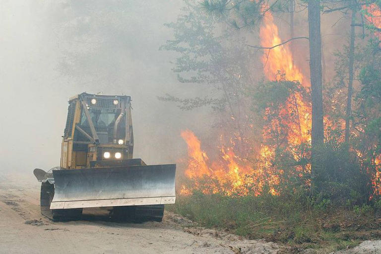 'Rapid spread' of wildfires feared as Florida county told to brace for ...