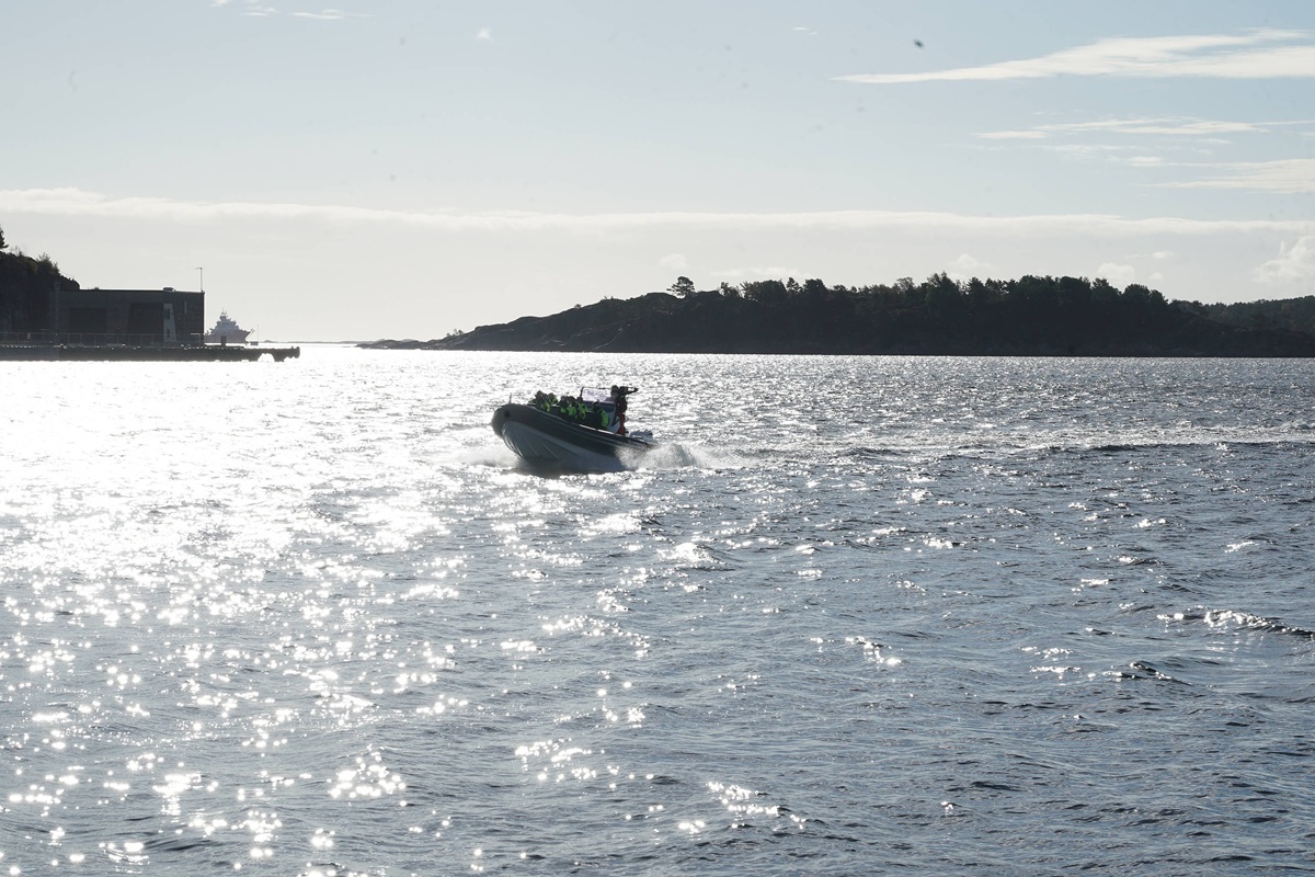 Blinde Passagiere an Bord! Chaos auf der Aida sorgt für Aufsehen