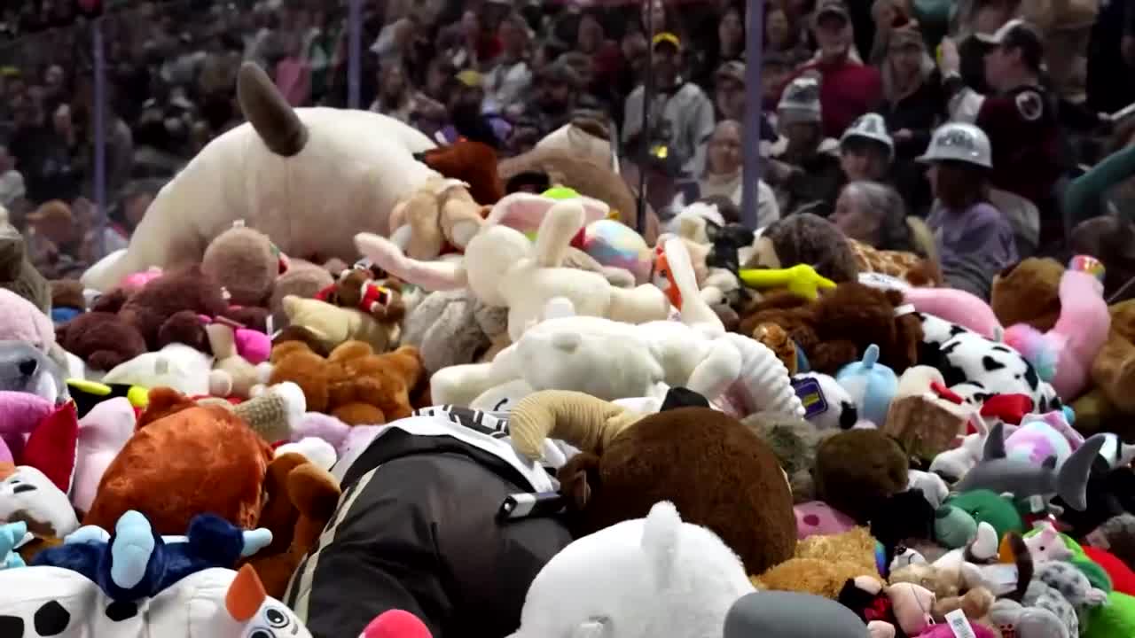 'Sweet, cuddly mayhem!', Hershey Bears hold annual Teddy Bear Toss ...