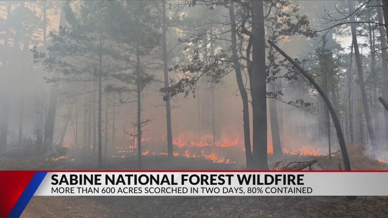 Firefighters responding to 674-acre wildfire in Sabine National Forest