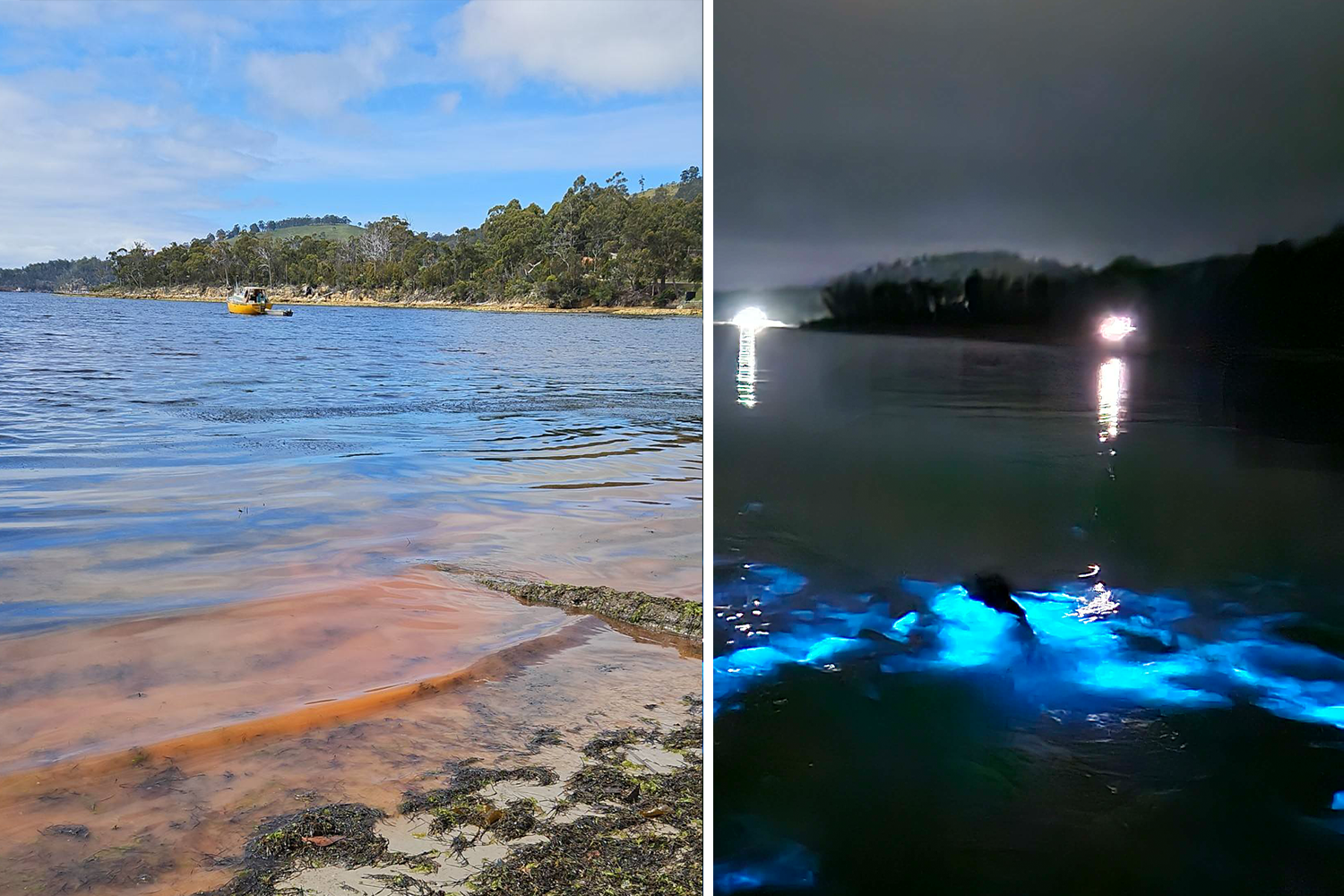 Aussie community 'anxious' after sudden change photographed in bay