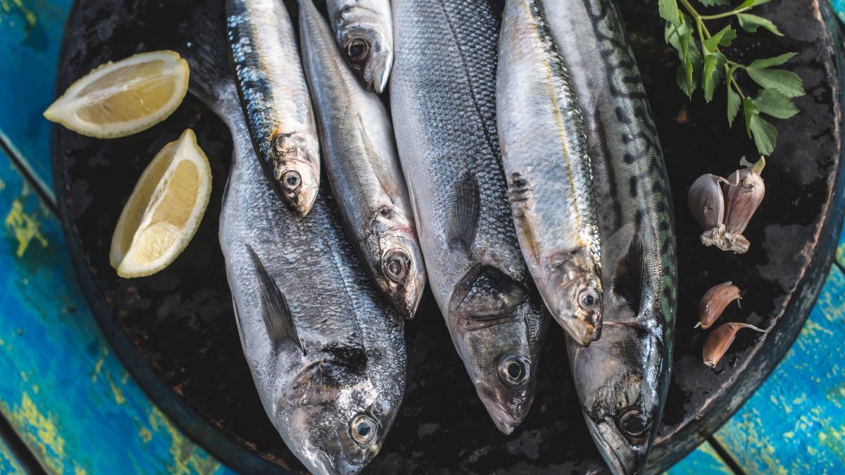 Doctors want people over 50 to put fatty fish on the weekly menu