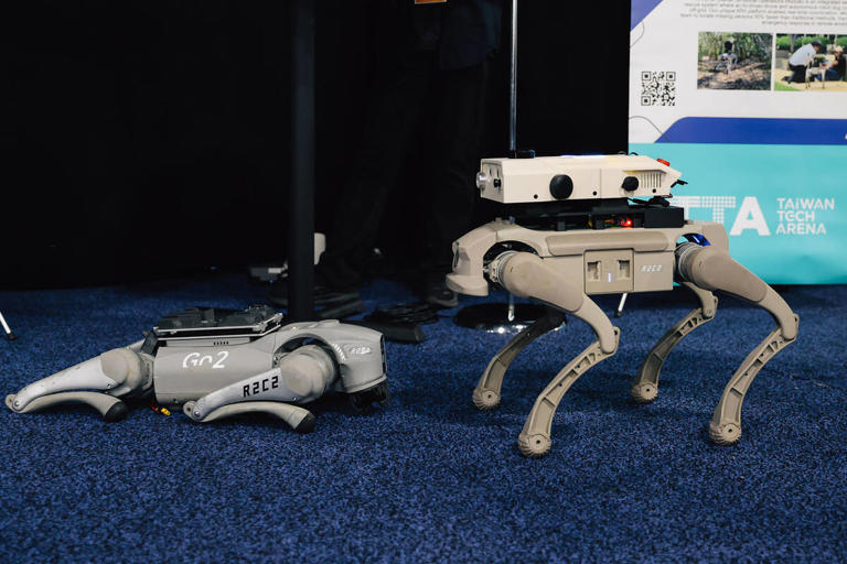 Robotic puppy, AI, wearable technology on display at CES media preview