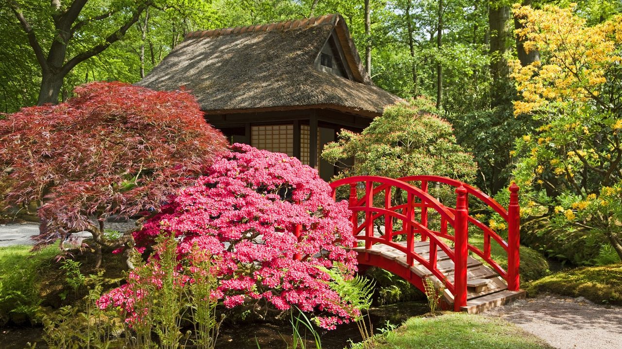 This Japanese garden tradition transforms yards into places of ritual