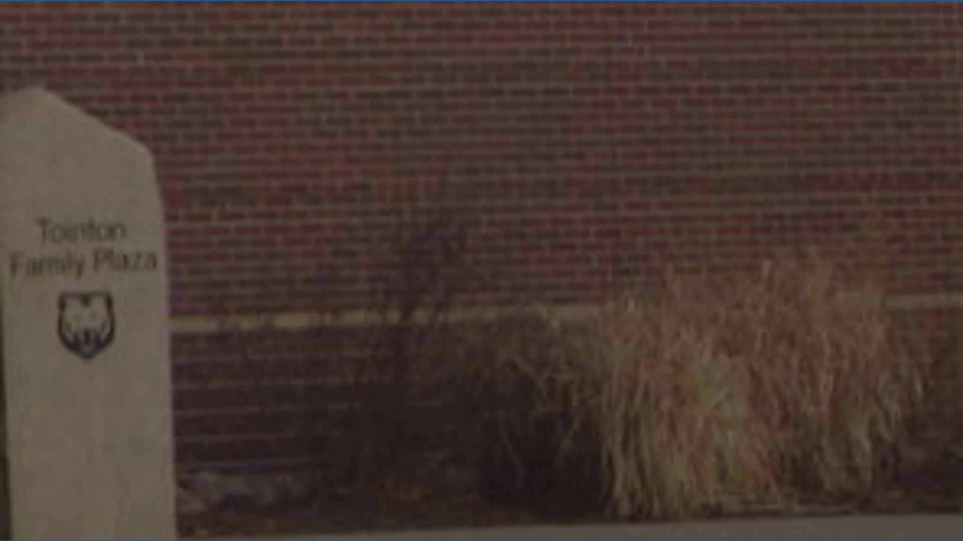 Student film premiere canceled