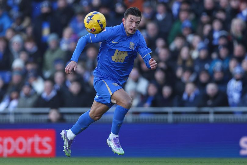 Chris Davies predicts transfer will give Birmingham City 'unpredictability'